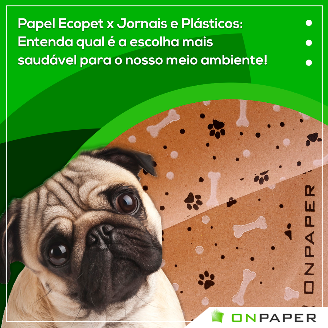 Papel Ecopet x Jornais e Plásticos: Entenda qual é a escolha mais ...